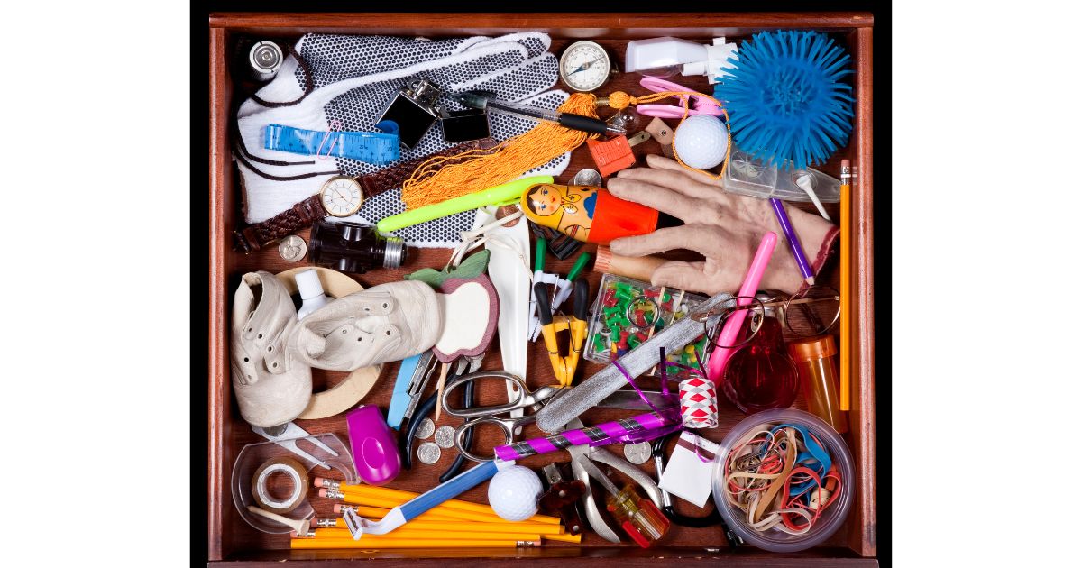 Factors Associated with Disorganization, Part 1 - Seattle Sparkle ...