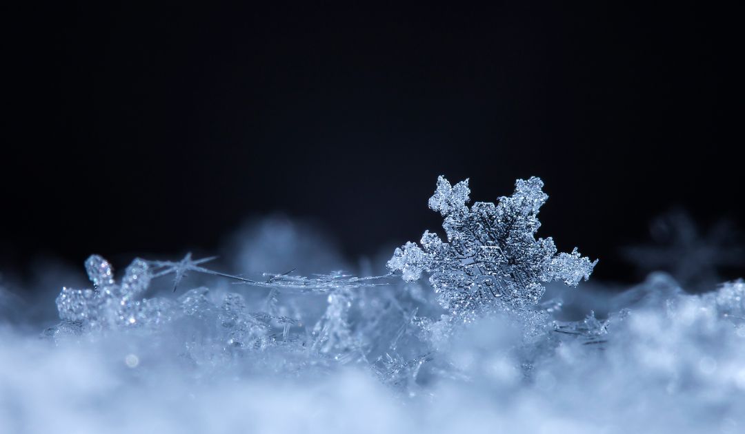 Winter Solstice Intention Setting - Seattle Sparkle | Professional Home ...